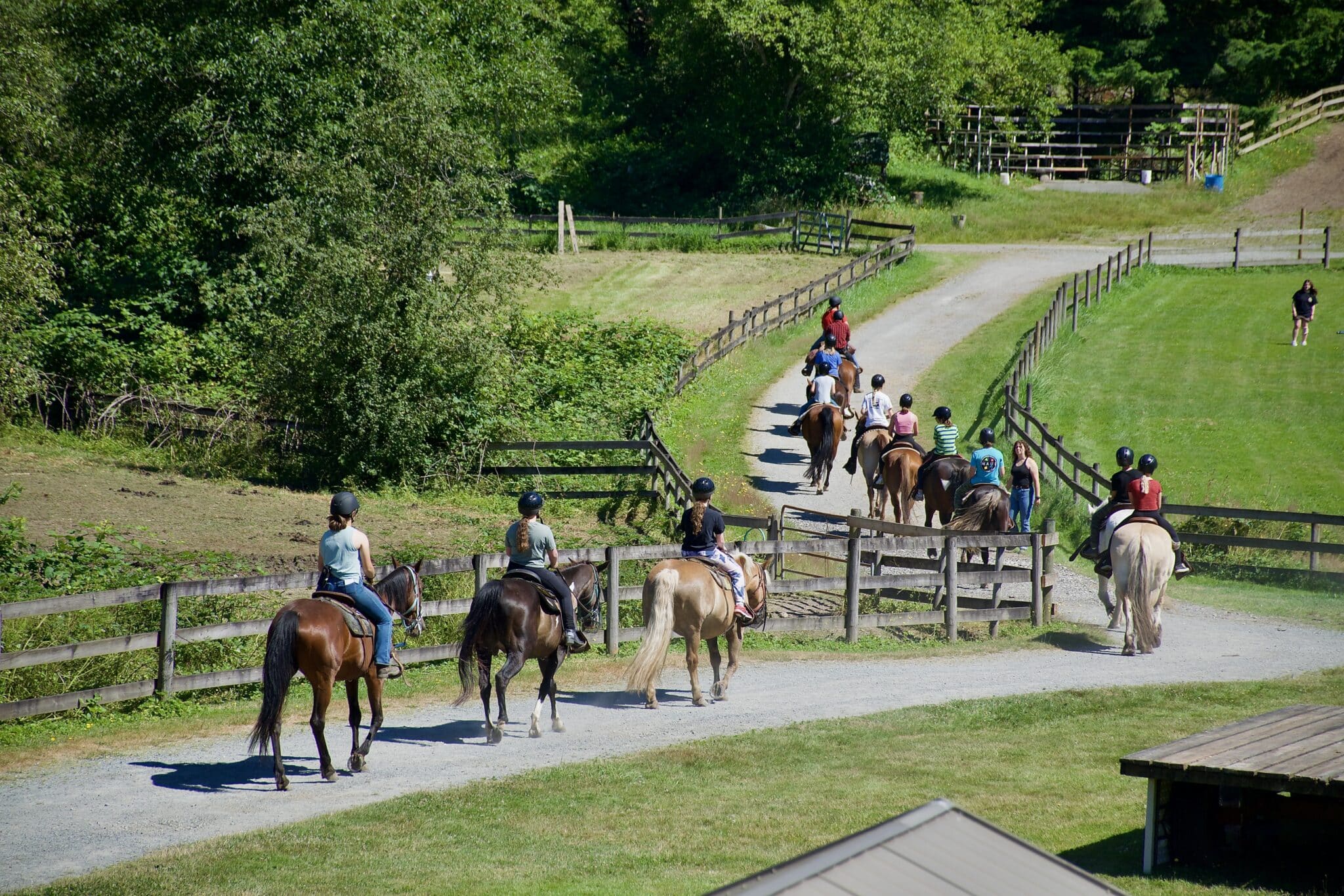 Timberline Ranch - BC Parent Newsmagazine